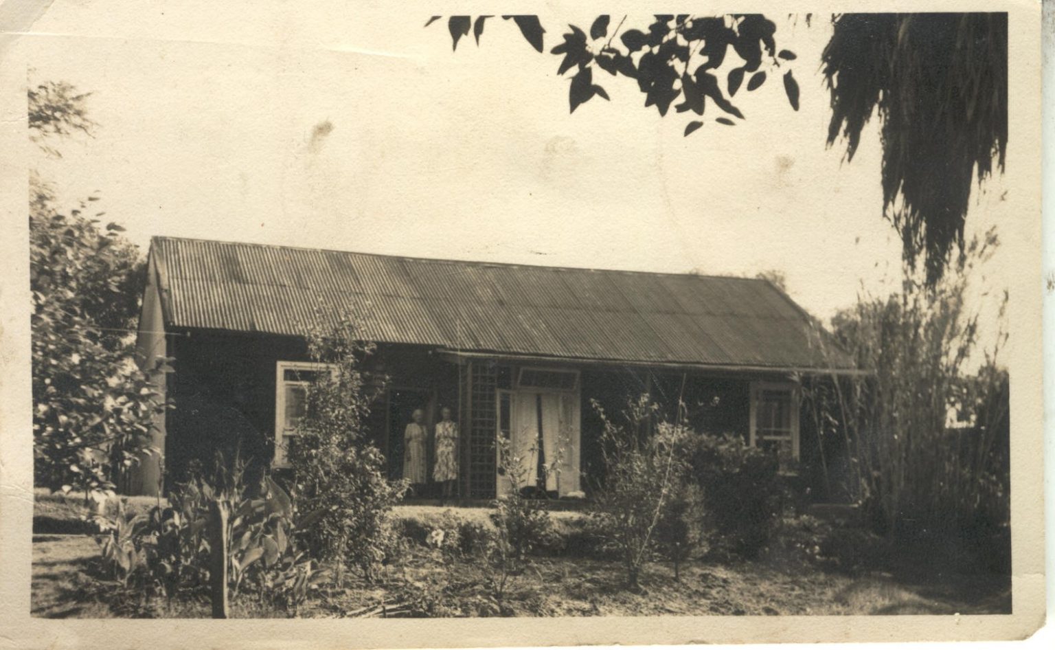 The Brickfields – Pinelands History